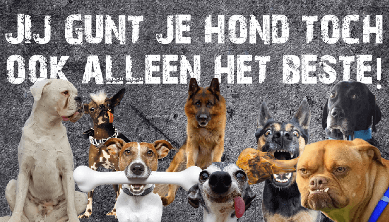 Info Vers Vlees Voeding. Vers Vlees past het beste bij het ...